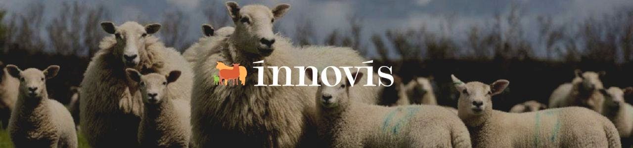 Innovis | SellMyLivestock - The Online Livestock Marketplace