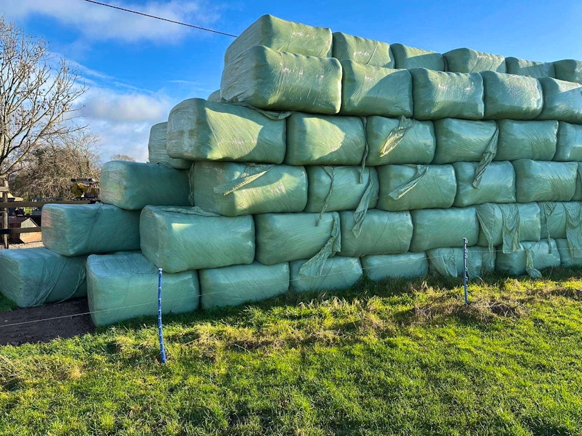 50 Bales Haylage | SellMyLivestock - The Online Livestock Marketplace