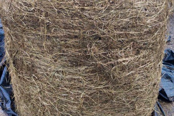 Feed & Bedding | SellMyLivestock - The Online Livestock Marketplace