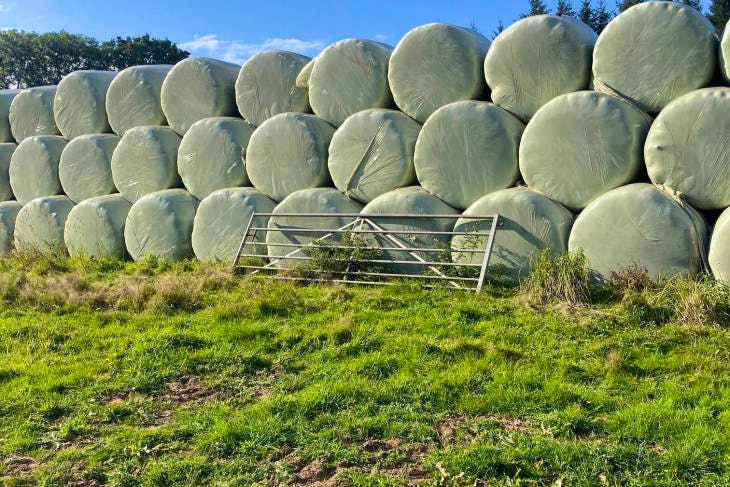 100 Bales Hay (Wrapped) | SellMyLivestock - The Online Livestock ...