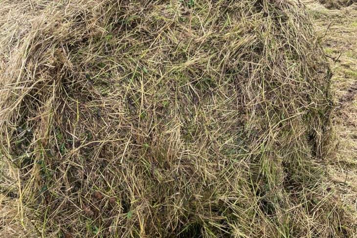 400 Bales Grass Silage | SellMyLivestock - The Online Livestock Marketplace